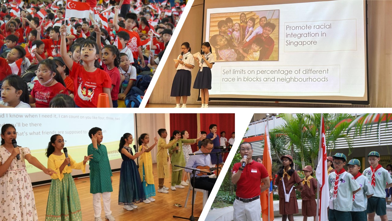 National Education Social Studies (NESS)